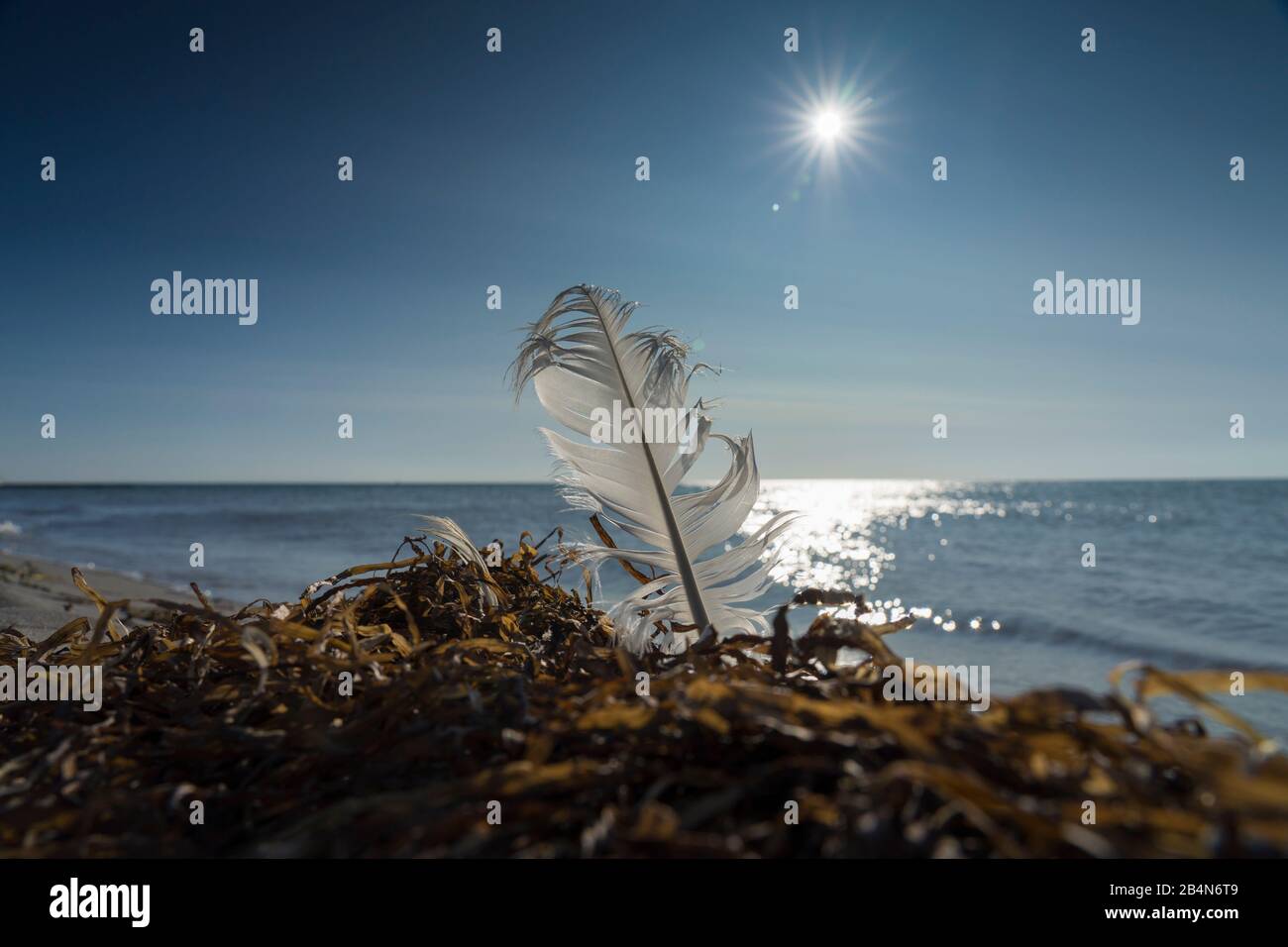 Setting sun on the beach hi-res stock photography and images - Alamy