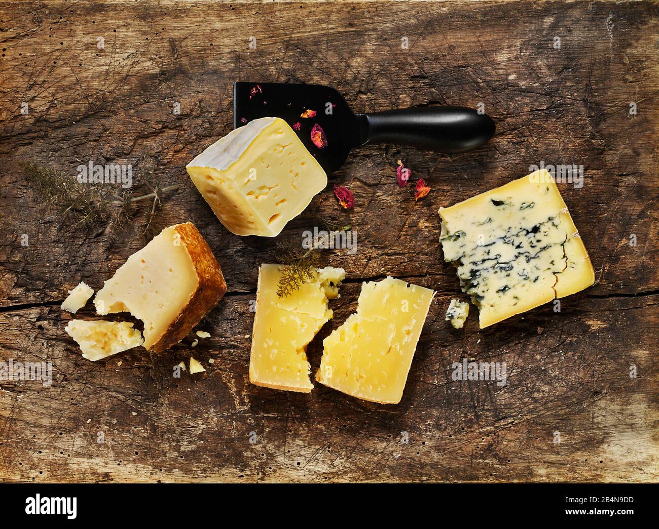 Aged blue cheese hi-res stock photography and images - Alamy