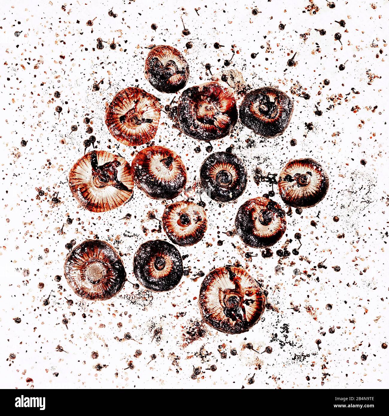 Onions borretane hi-res stock photography and images - Alamy