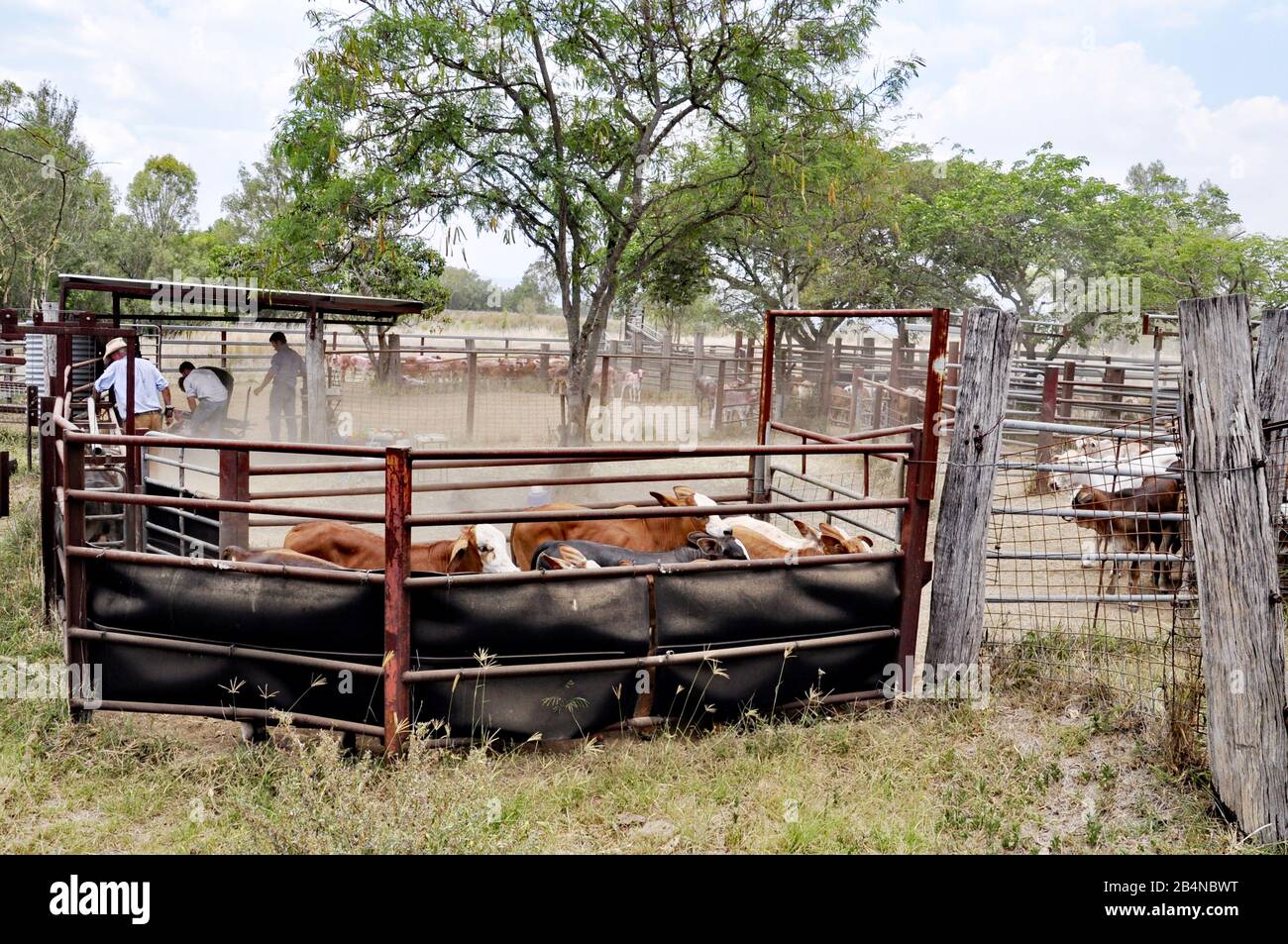 CATTLE STATION / RANCH WORK Stock Photo - Alamy