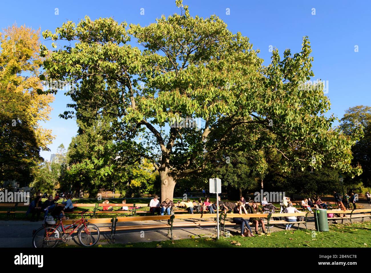 Talking tree hi-res stock photography and images - Alamy