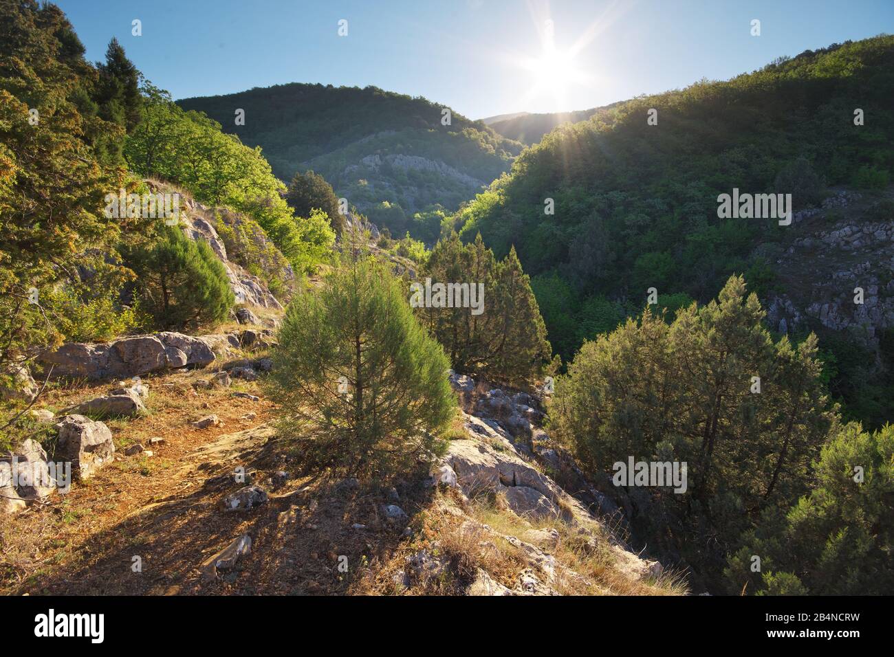 Beautiful daylight hi-res stock photography and images - Alamy