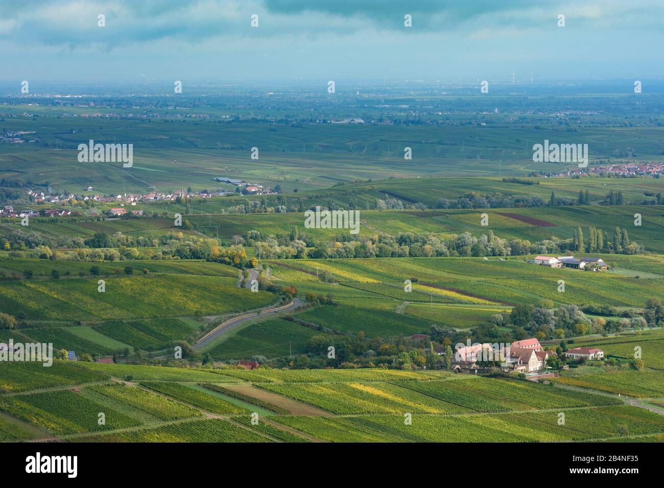 Vineyards at deutsche weinstrasse german wine route hi-res stock ...