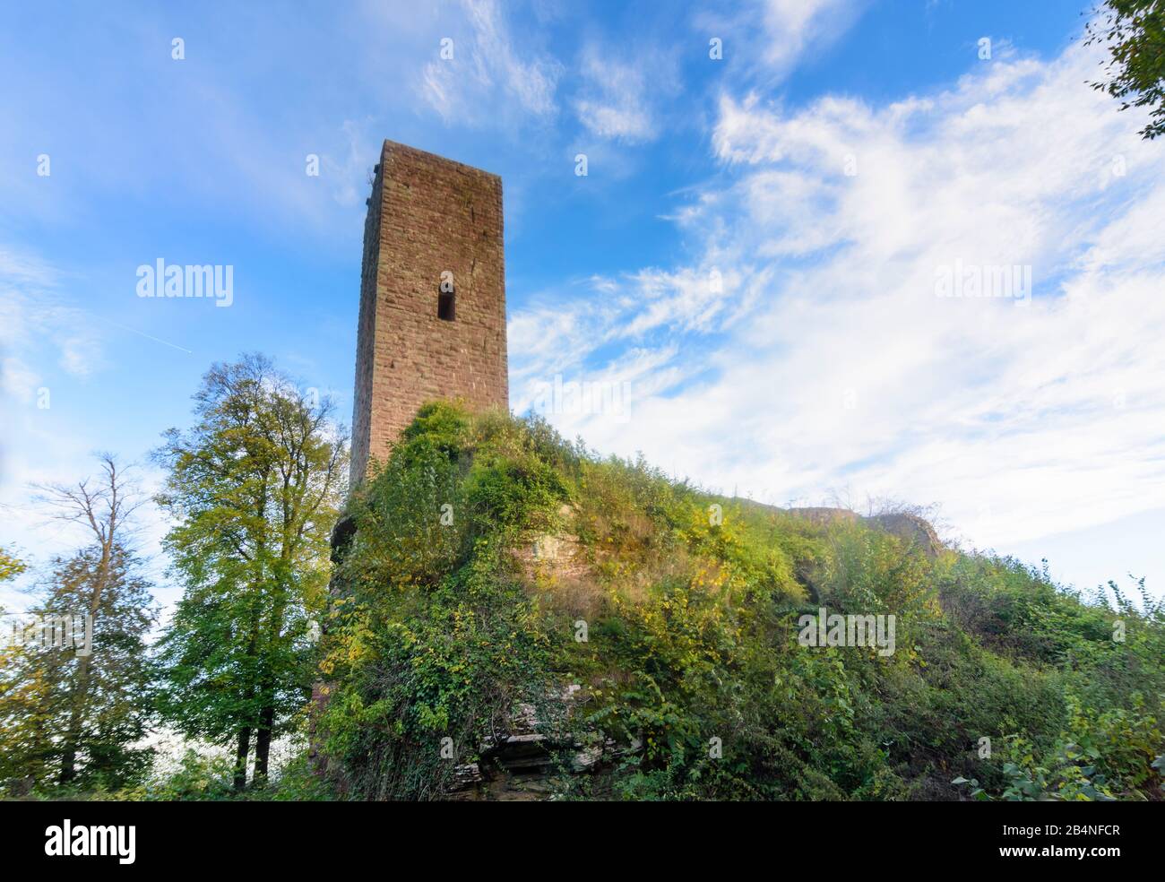 Scharfenberg castle in pfalzerwald hi-res stock photography and images ...