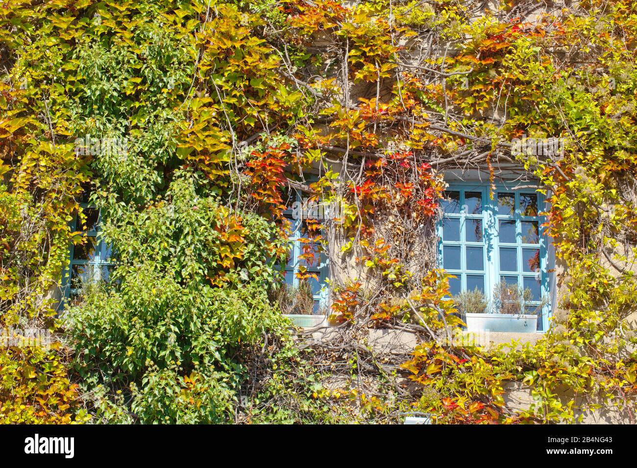 Overgrow hi-res stock photography and images - Alamy