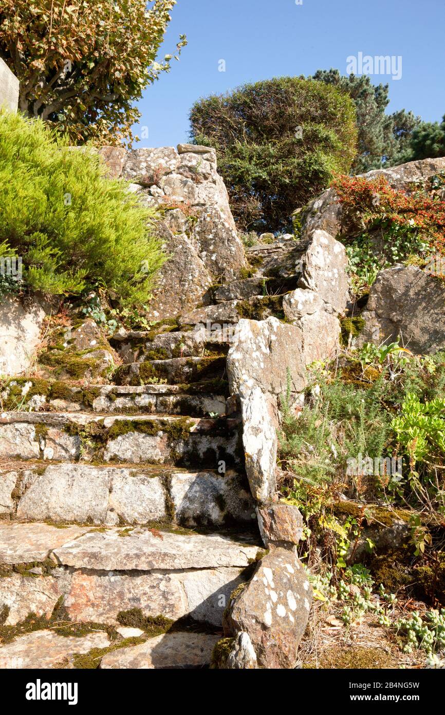 Rustic stone staircase in Mediterranean flora in the Ille-et-Vilaine ...