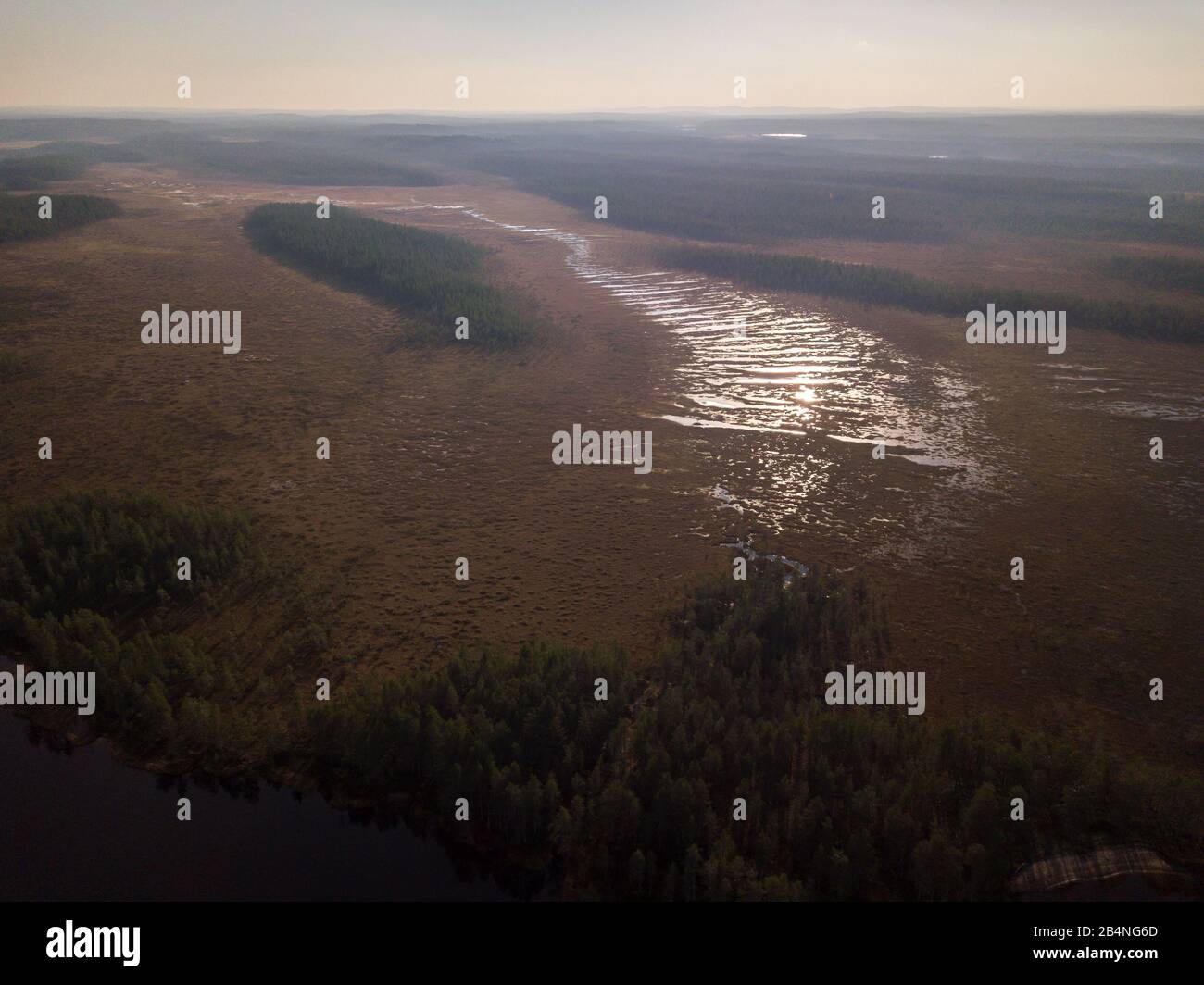 Aerial bog landscape wet quagmire puddles Stock Photo - Alamy