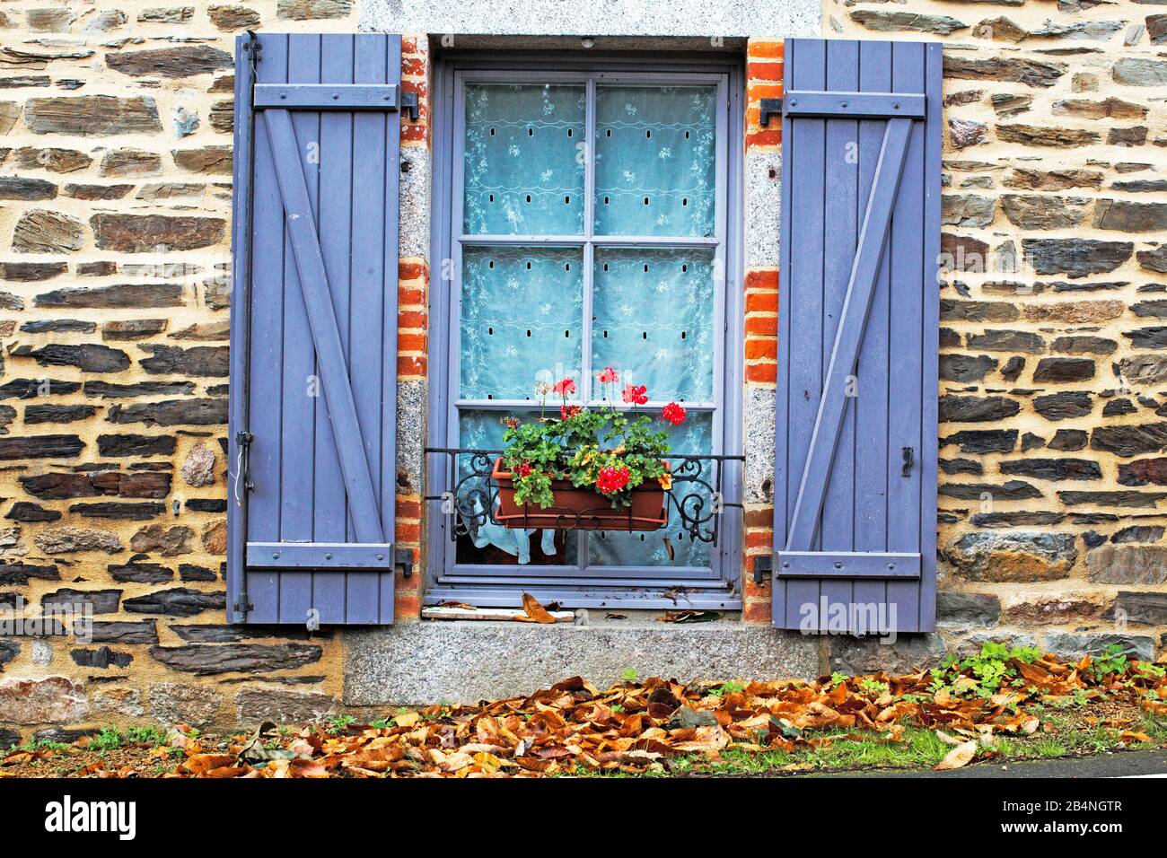 The Blue Window