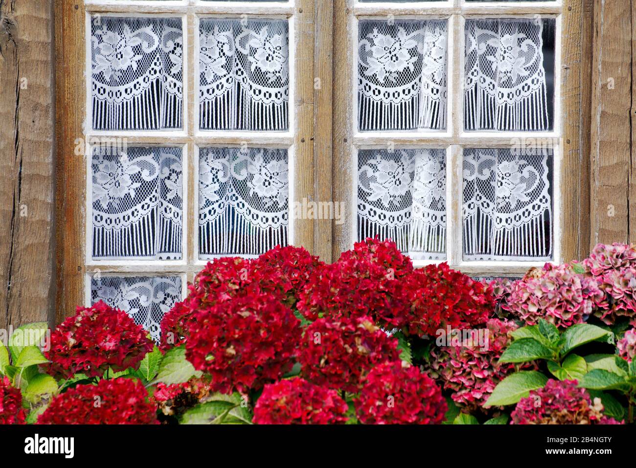 Red window covering hi-res stock photography and images - Alamy