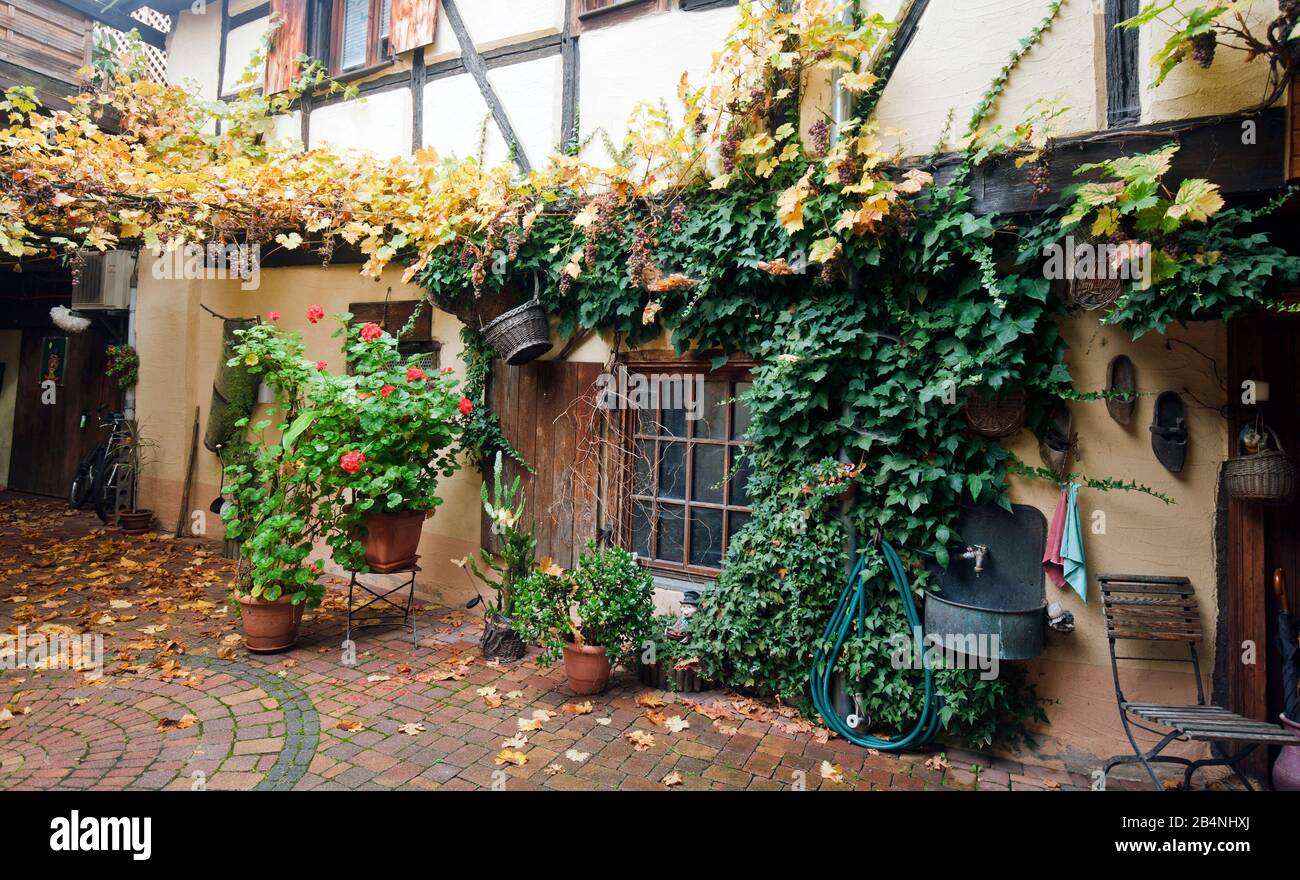Exterior of a french style home hi-res stock photography and images - Alamy