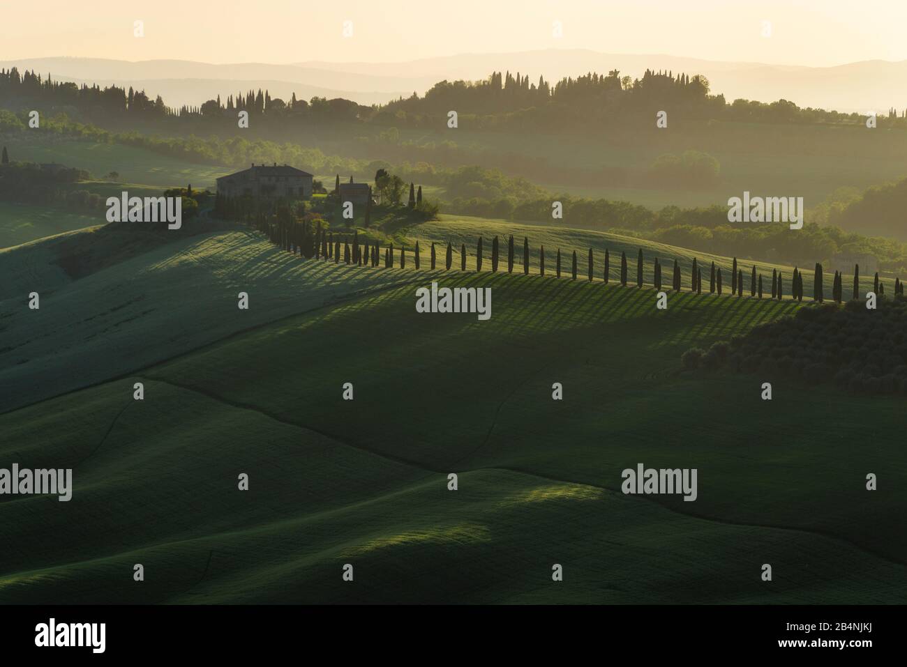 Hilly landscape, Crete Senesi, Tuscany, Italy Stock Photo - Alamy