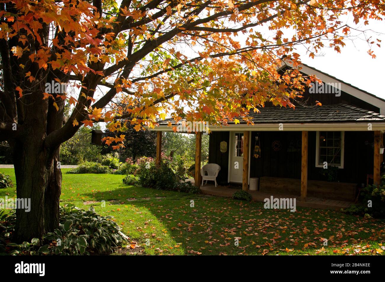 Canadian style house exterior, Orangeville, Ontario, Canada Stock Photo ...