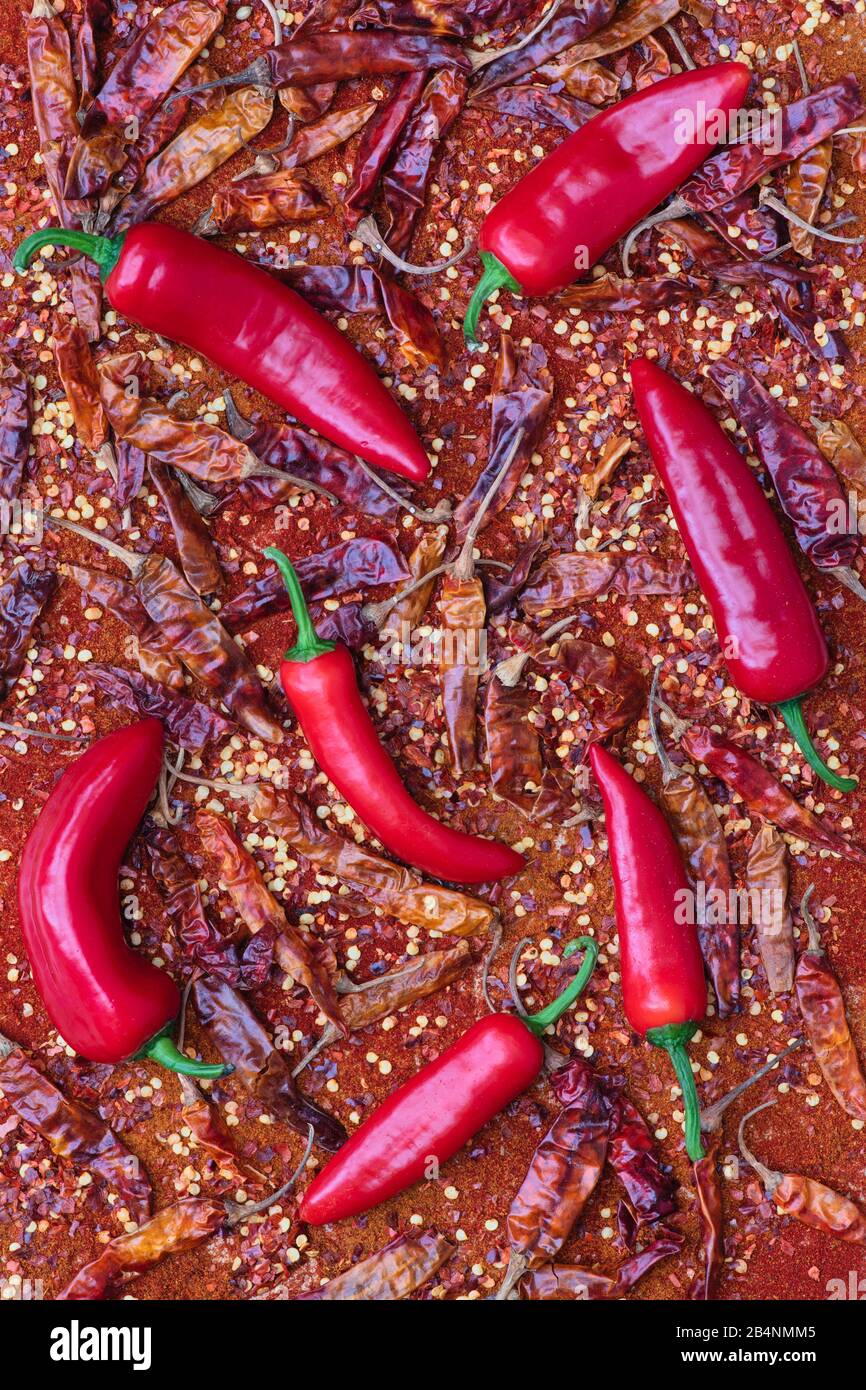 Chilli pepper powder hi-res stock photography and images - Alamy
