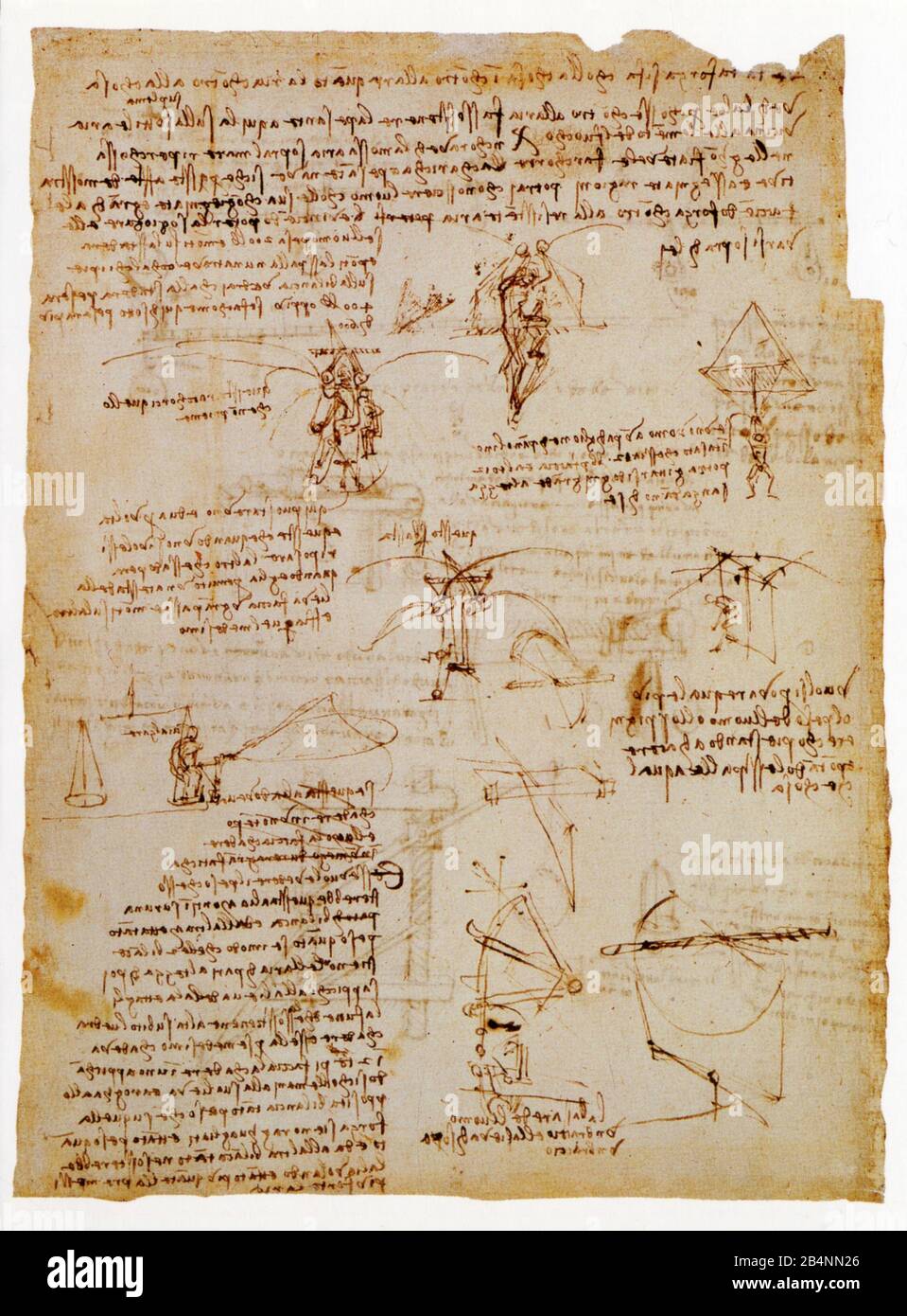 Leonardo da Vinci. Sheet of studies on artificial flight. On the upper ...