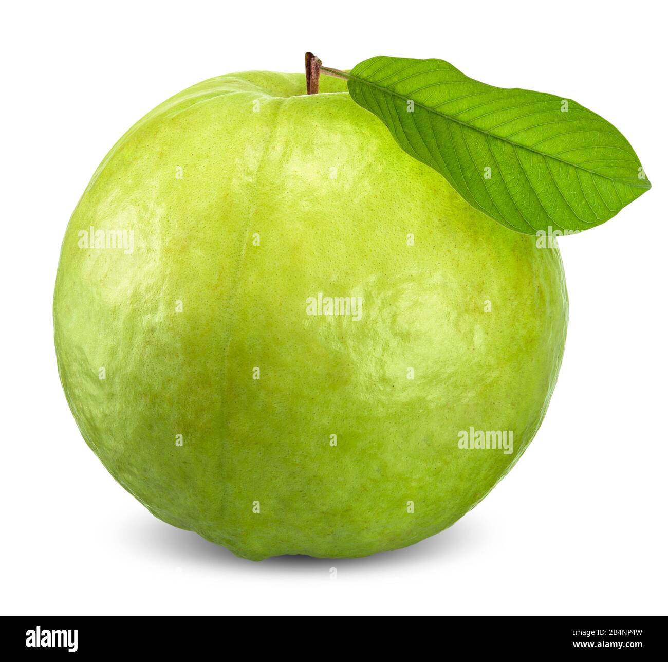 White guava hi-res stock photography and images - Alamy