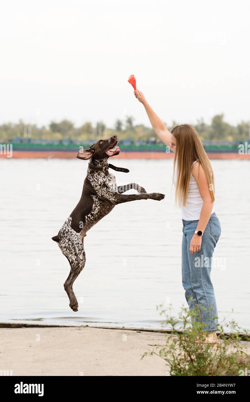 Attractive girl walking the dog. Having fun playing in outdoors. Owner ...
