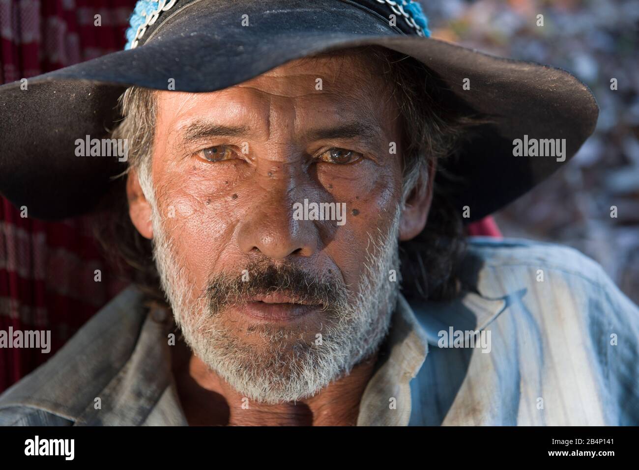 Brazilian cowboy hi-res stock photography and images - Alamy