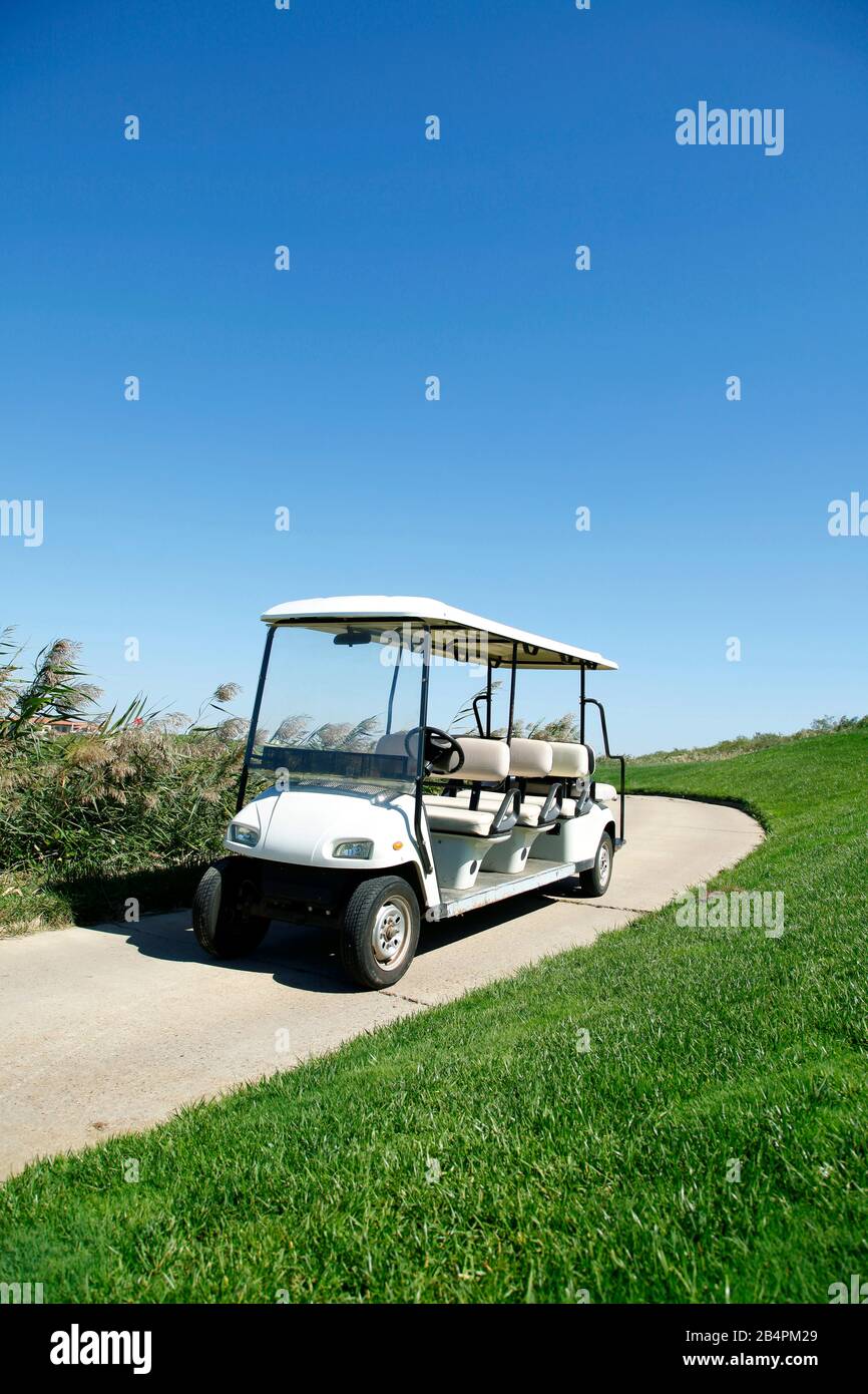 White golf carts at the green golf course Stock Photo - Alamy