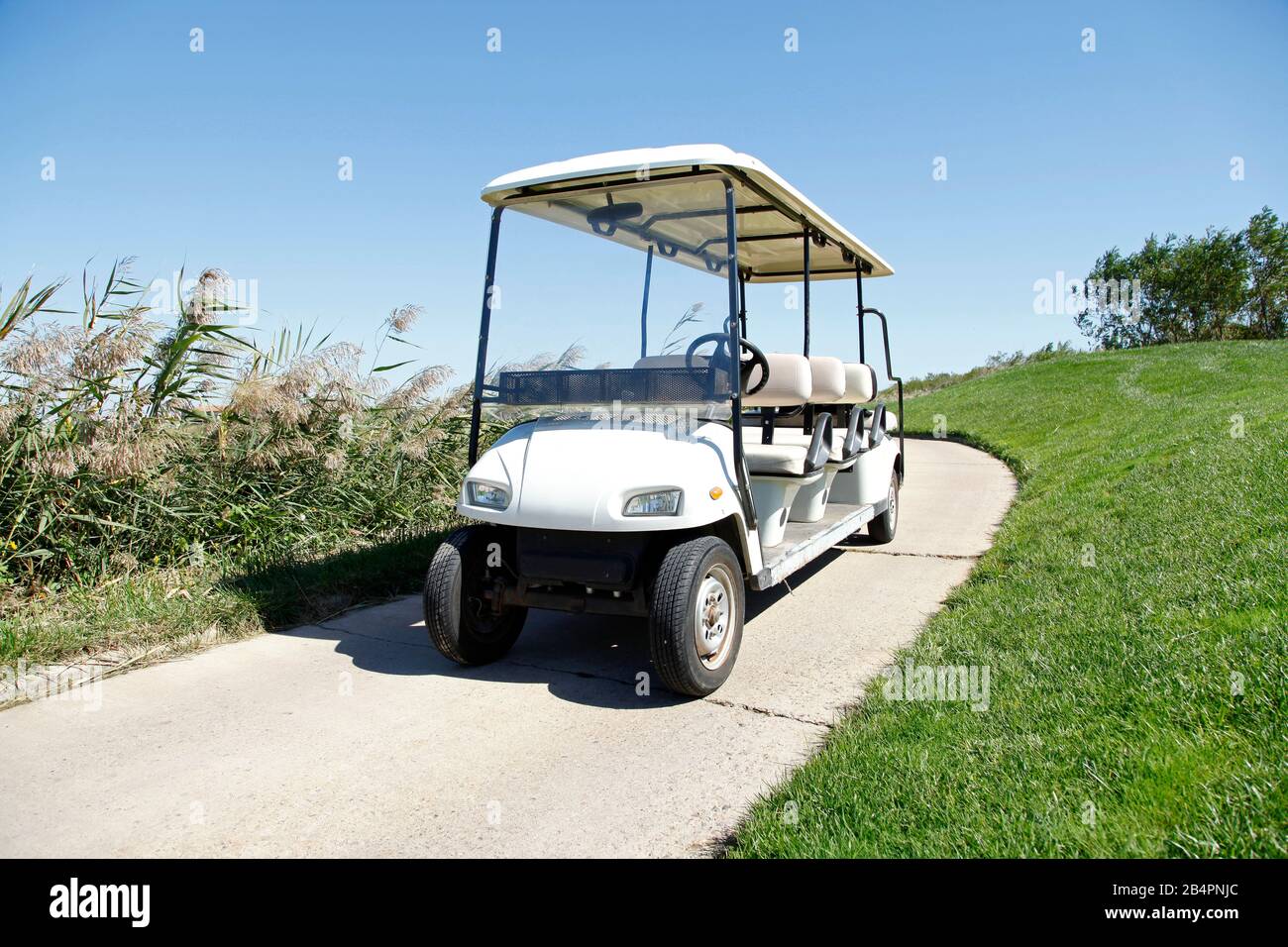White golf carts at the green golf course Stock Photo - Alamy