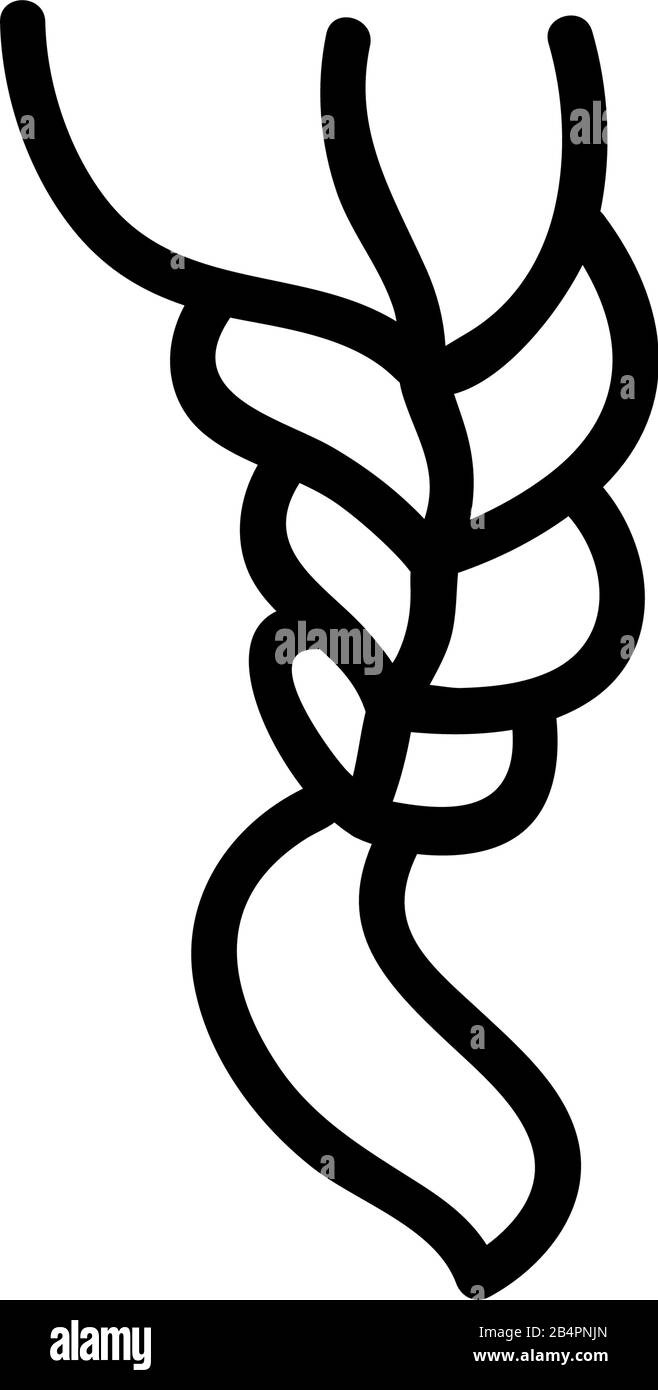 braid icon vector. Isolated contour symbol illustration Stock Vector ...
