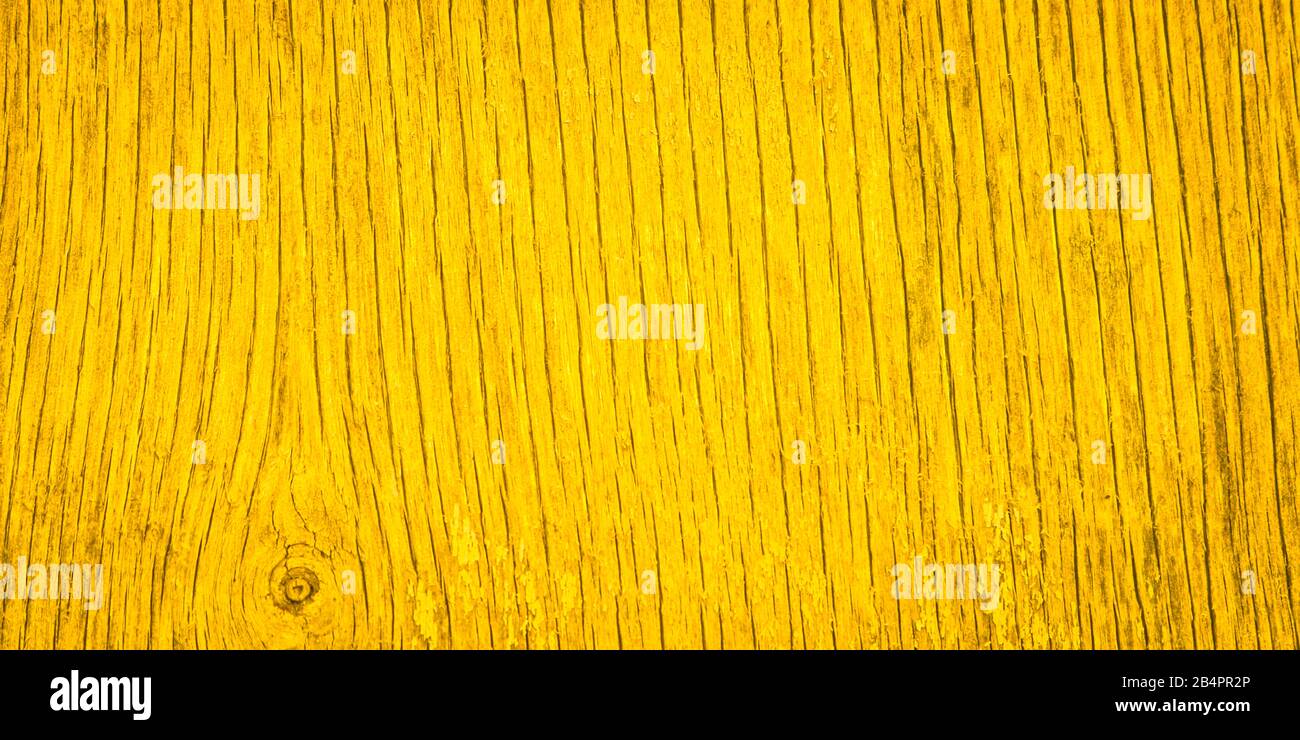 Vibrant yellow wood texture. The texture of the old dried plywood ...