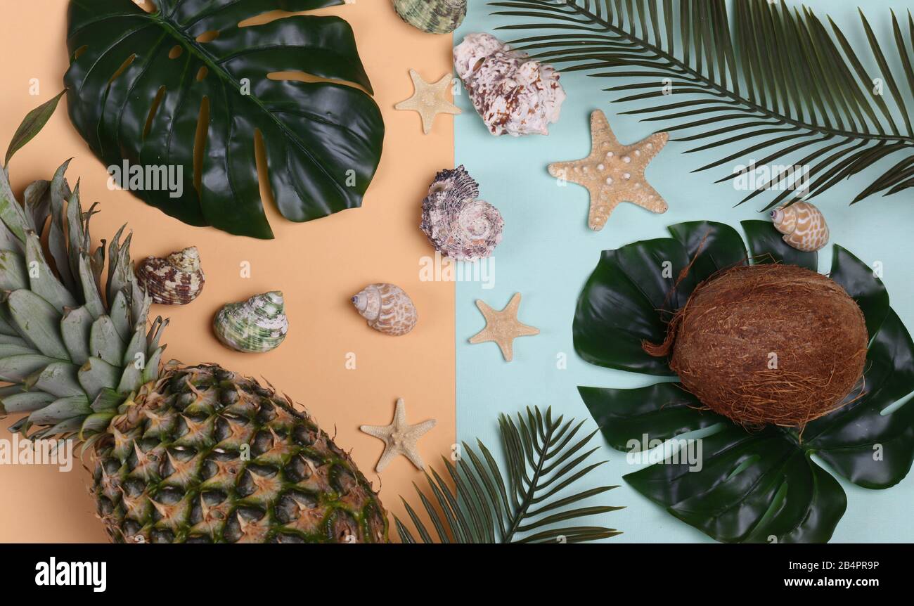 tropical style life with shells and fruits Stock Photo - Alamy