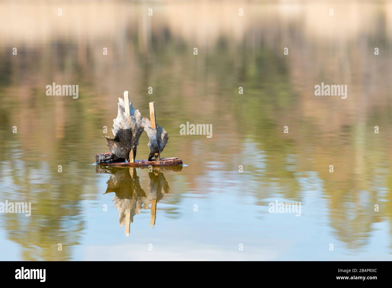 Bark boat toy hi-res stock photography and images - Alamy