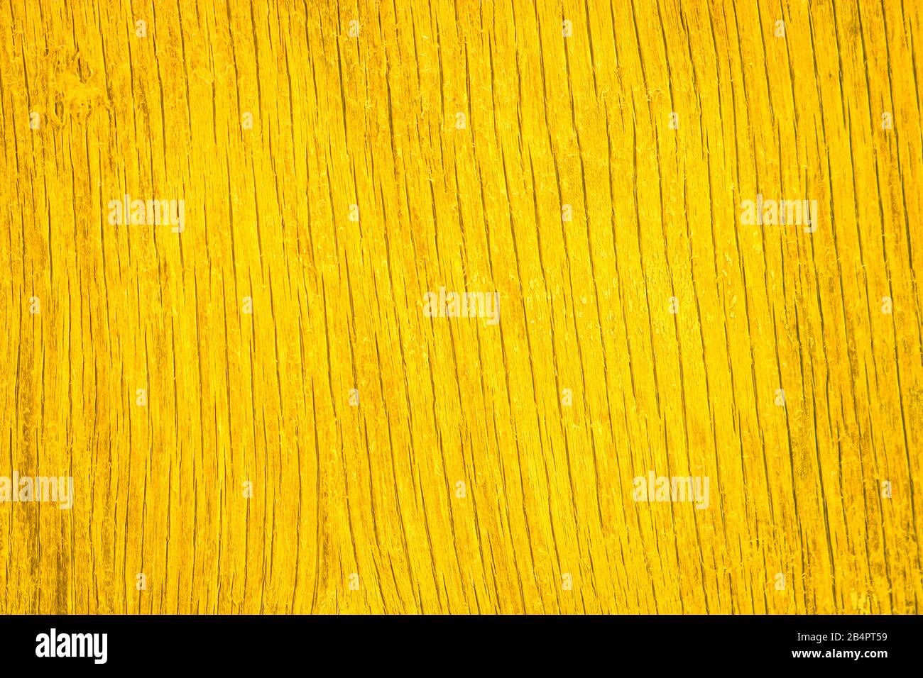Vibrant yellow wood texture. The texture of the old dried plywood ...
