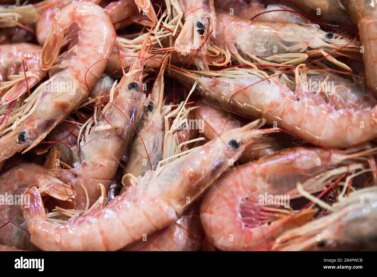 Scabbard fishes hi-res stock photography and images - Alamy