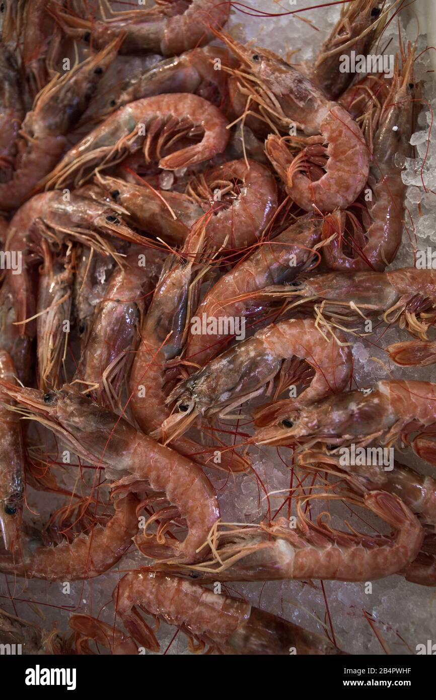 Fish on market, black scabbard (espada) in fish market Stock Photo - Alamy