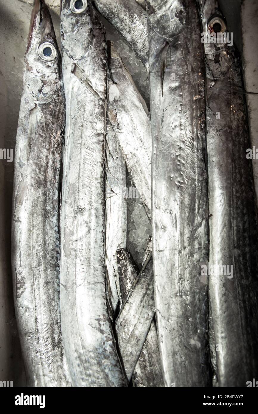 Silver Scabbard Fish High Resolution Stock Photography and Images - Alamy