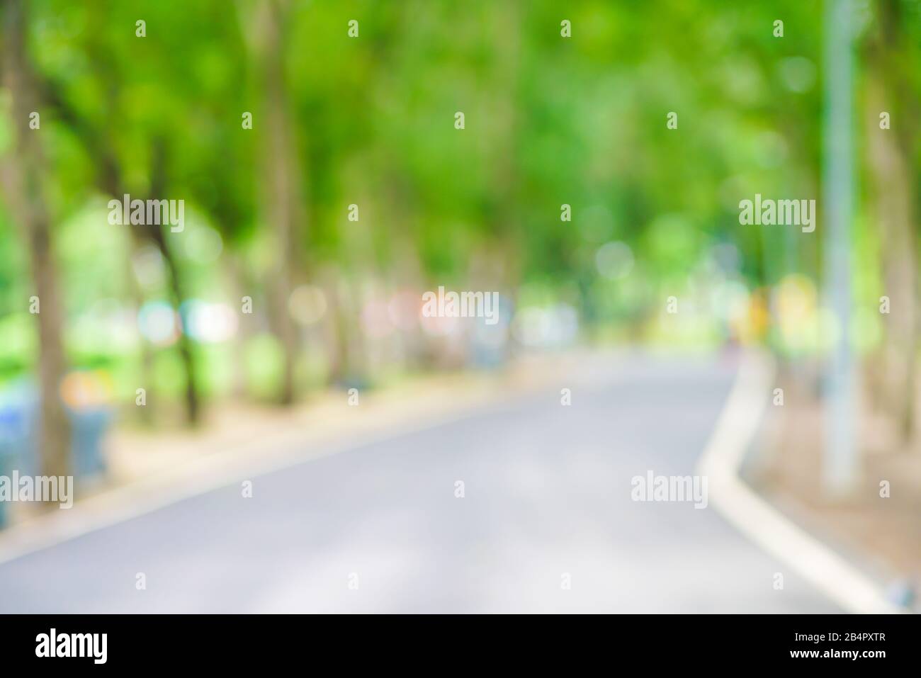 Abstract green park blurred background with bokeh nature scenery Stock ...