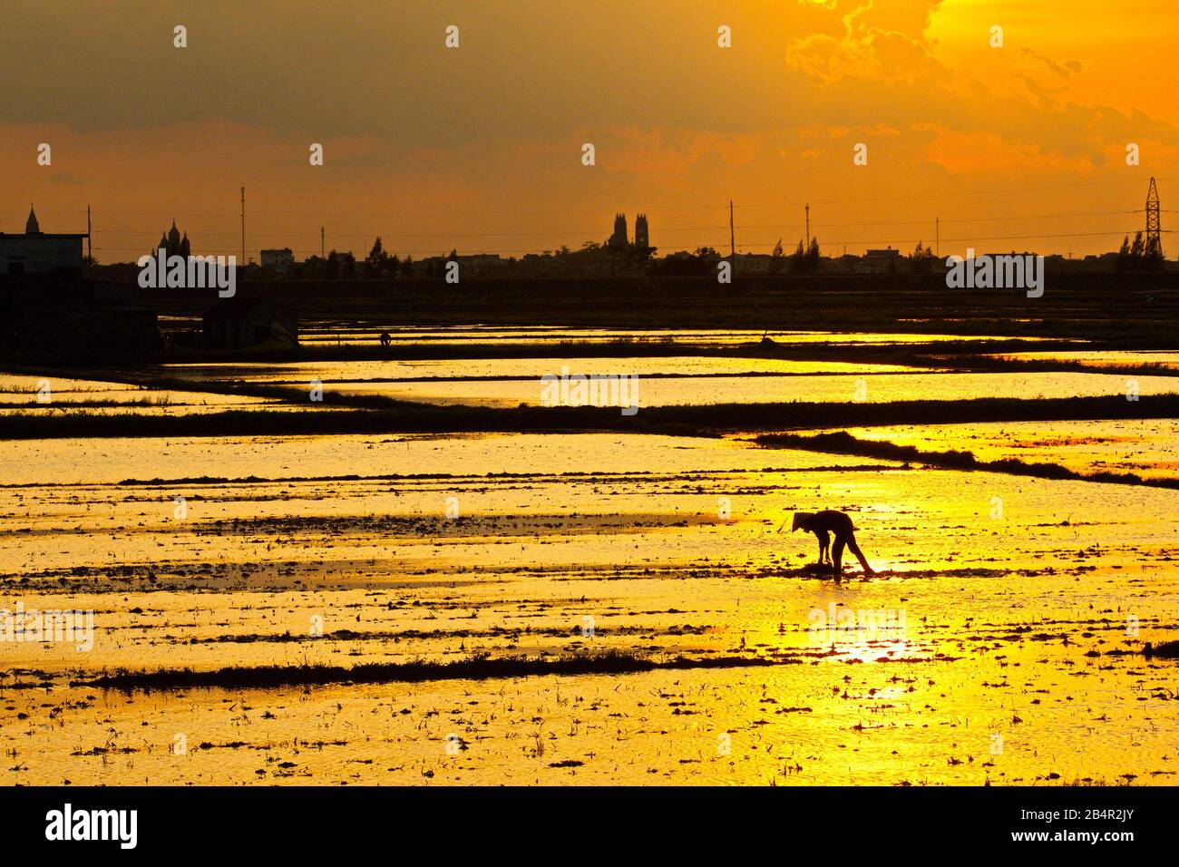 VANLONG NATURAL RESERVE, NINH BINH, VIETNAM - JULY 7, 2019: An ...