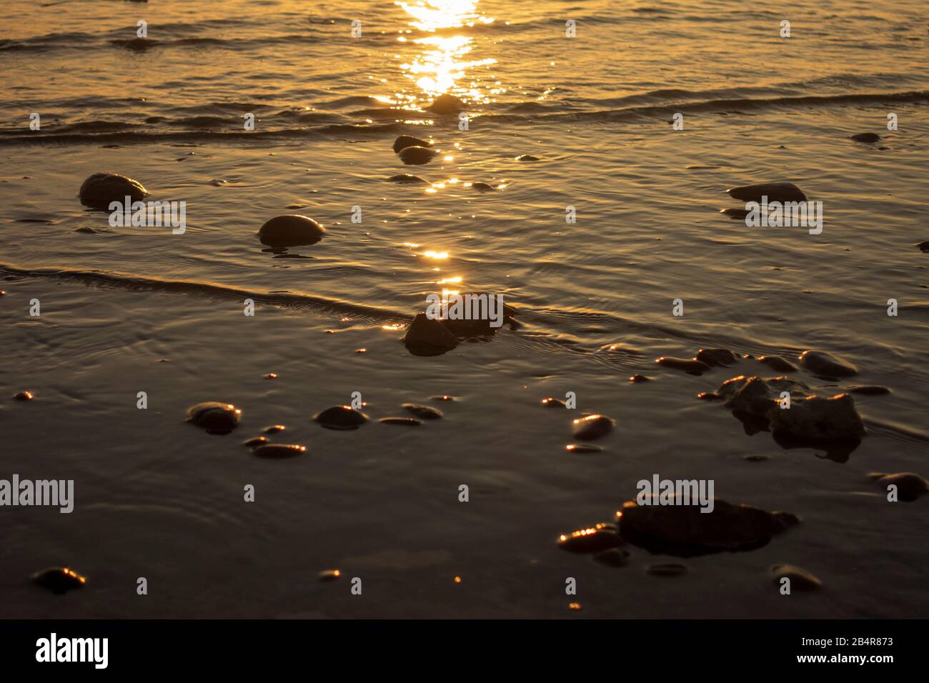 La renega hi-res stock photography and images - Alamy