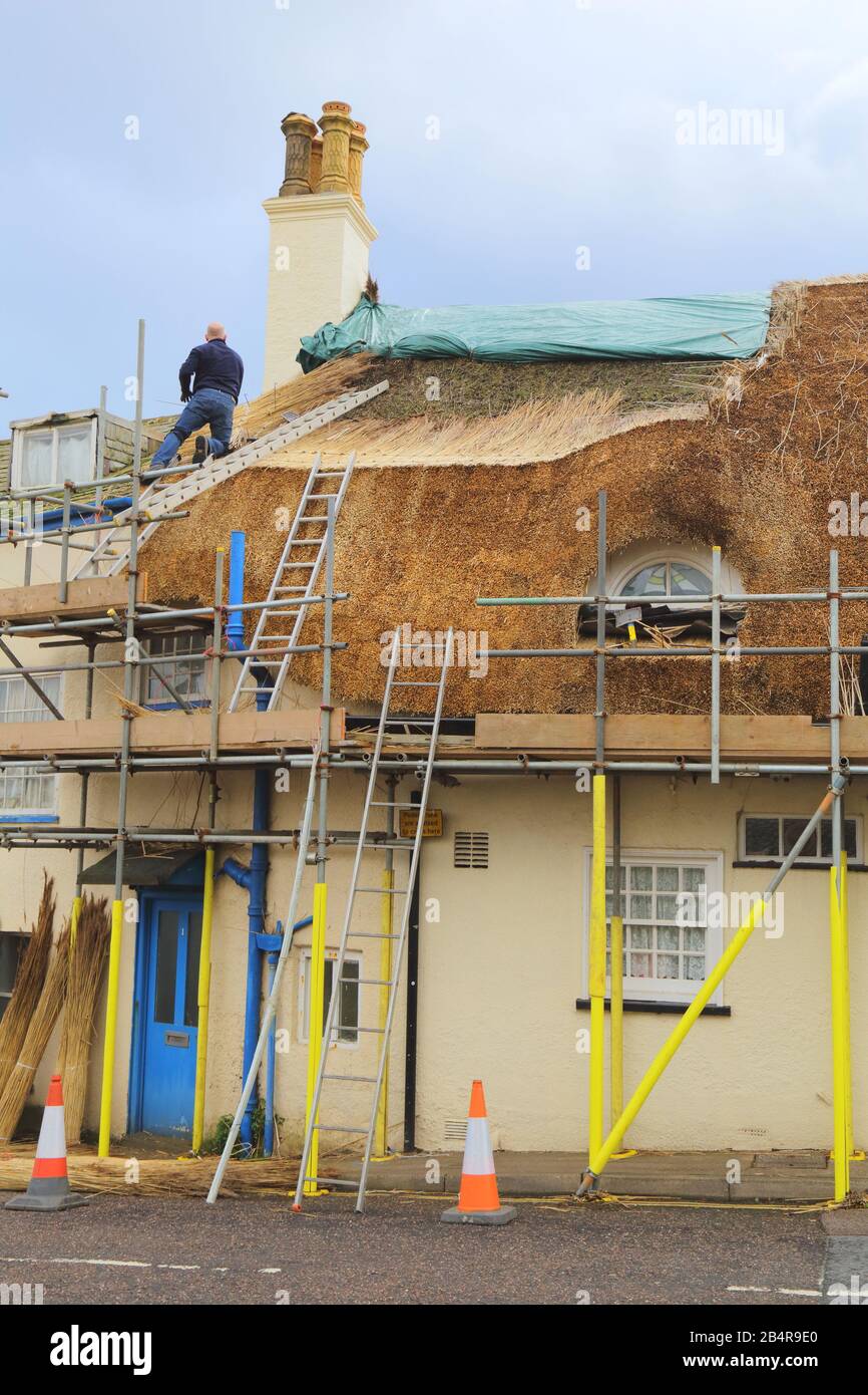 Worker thatching a roof with water reed in Sidmouth, Devon Stock Photo ...