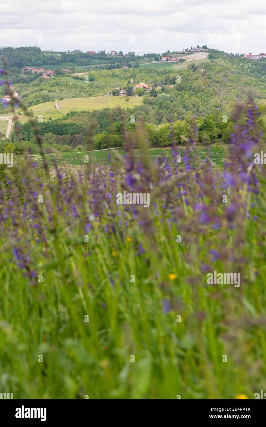 Landscape views of Albugnano on the Monferrato hills, Asti, Piedmont ...