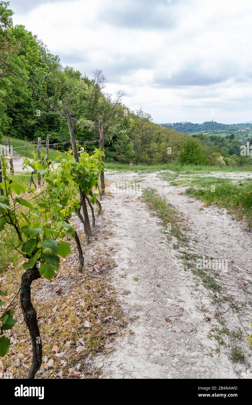 Landscape views of Albugnano on the Monferrato hills, Asti, Piedmont ...