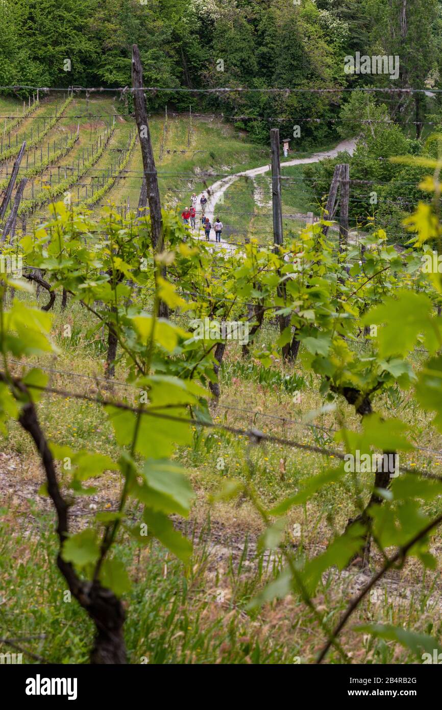Landscape views of Albugnano on the Monferrato hills, Asti, Piedmont ...