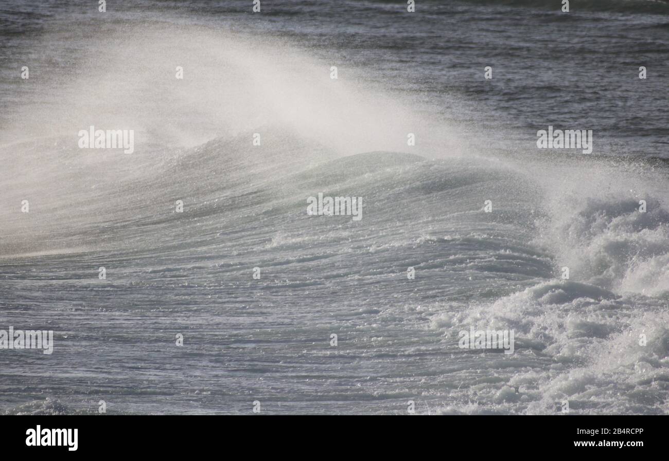 Wave breaking with surf Stock Photo - Alamy