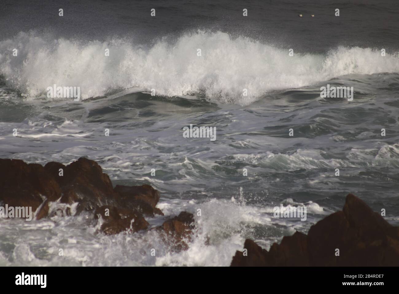 Wave breaking with surf Stock Photo - Alamy