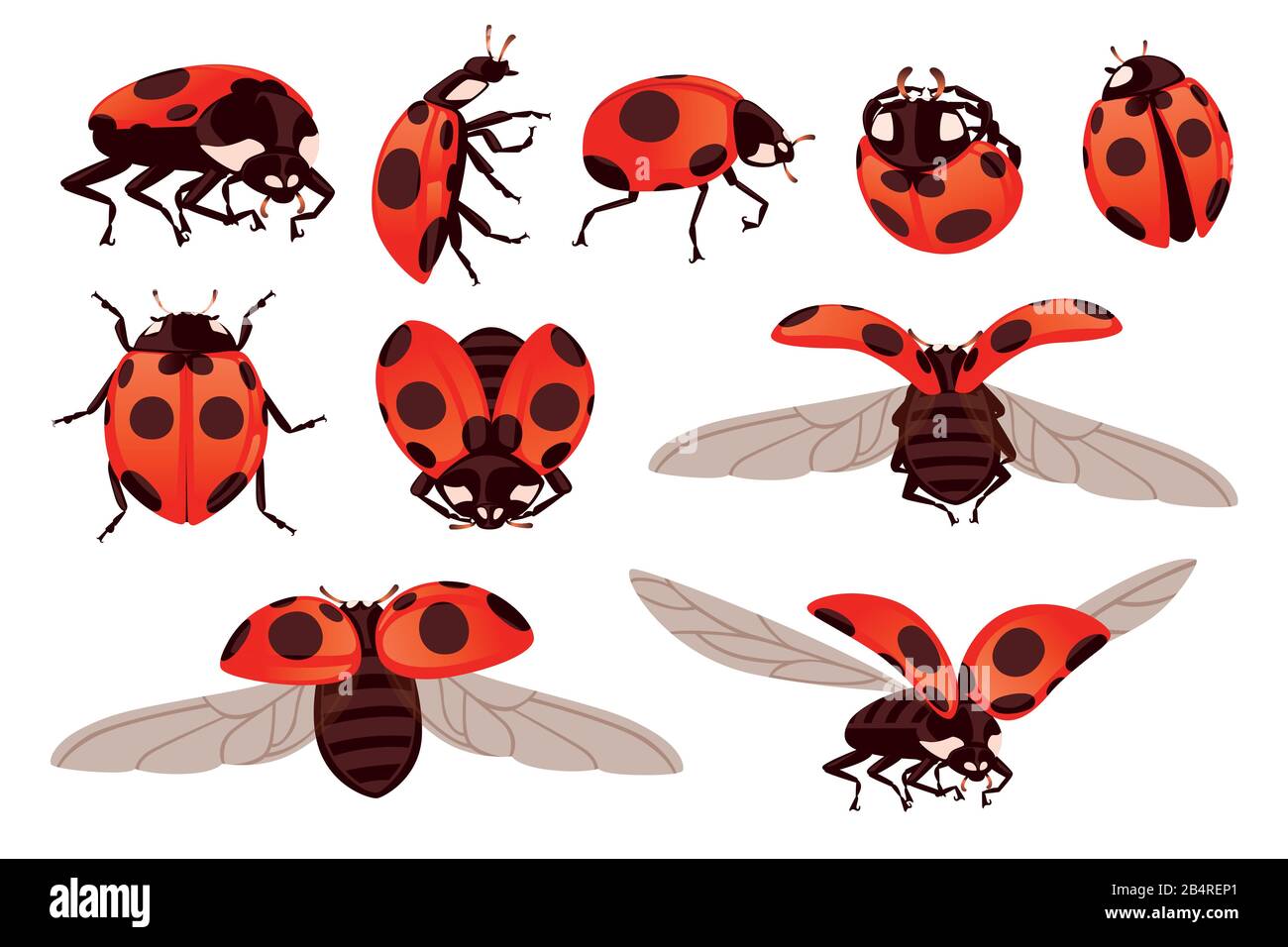 Set of ladybug with open shell and wings flying beetle cartoon bug ...