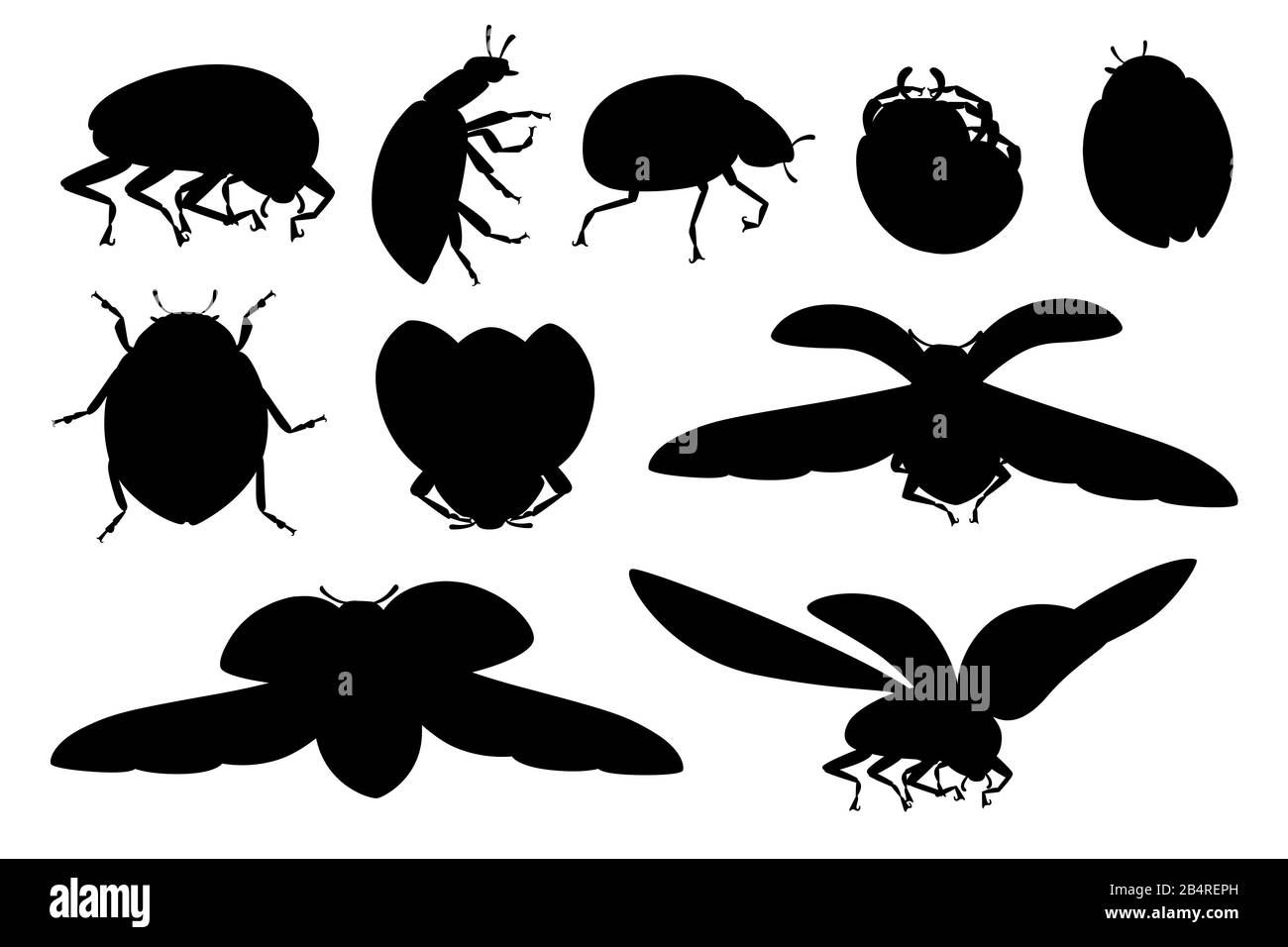 Ladybug Silhouette Clip Art