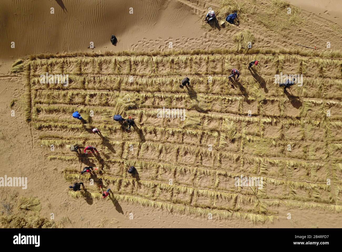 Aerial land checkerboard hi-res stock photography and images - Alamy