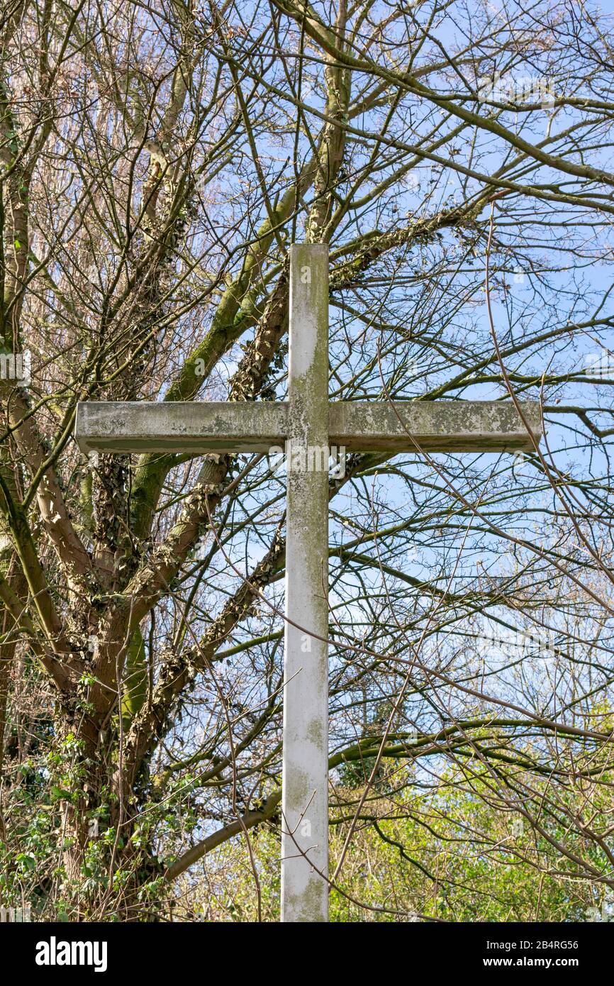 Large weathered wooden cross and behind a tree and shrubs Stock Photo ...
