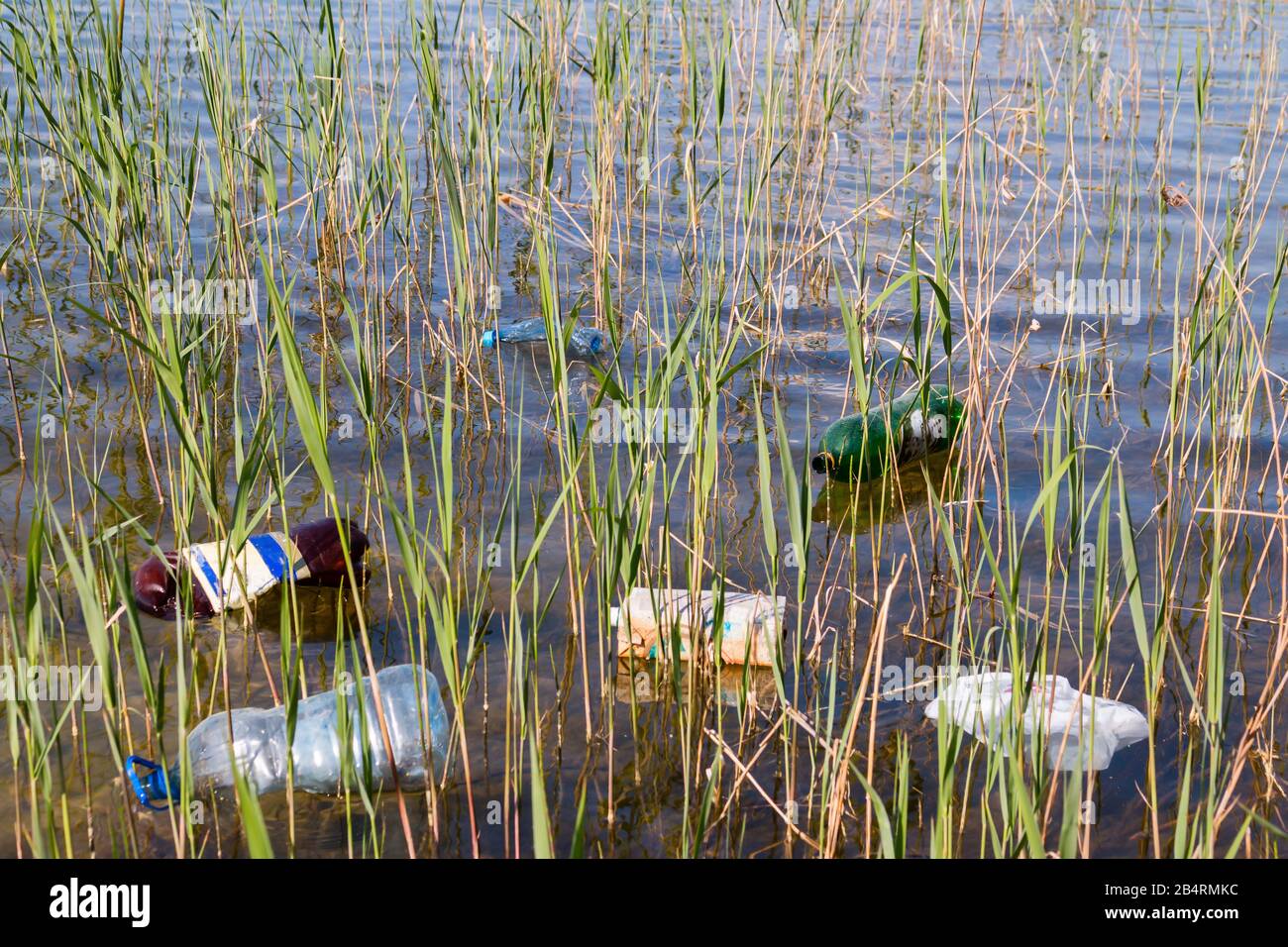 Dirty lake clean up hi-res stock photography and images - Alamy