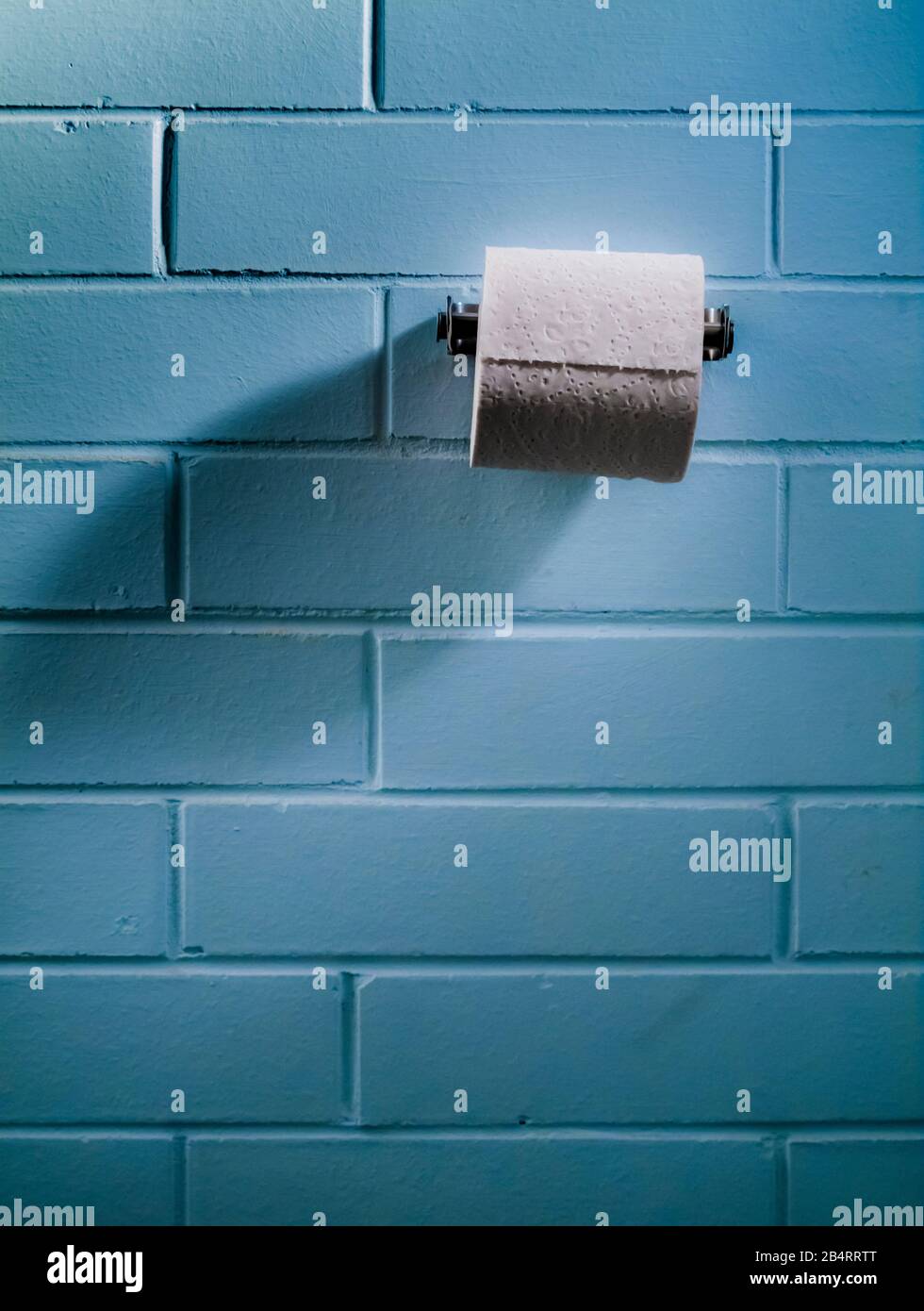 Toilet paper roll on holder attached to brick wall Stock Photo - Alamy