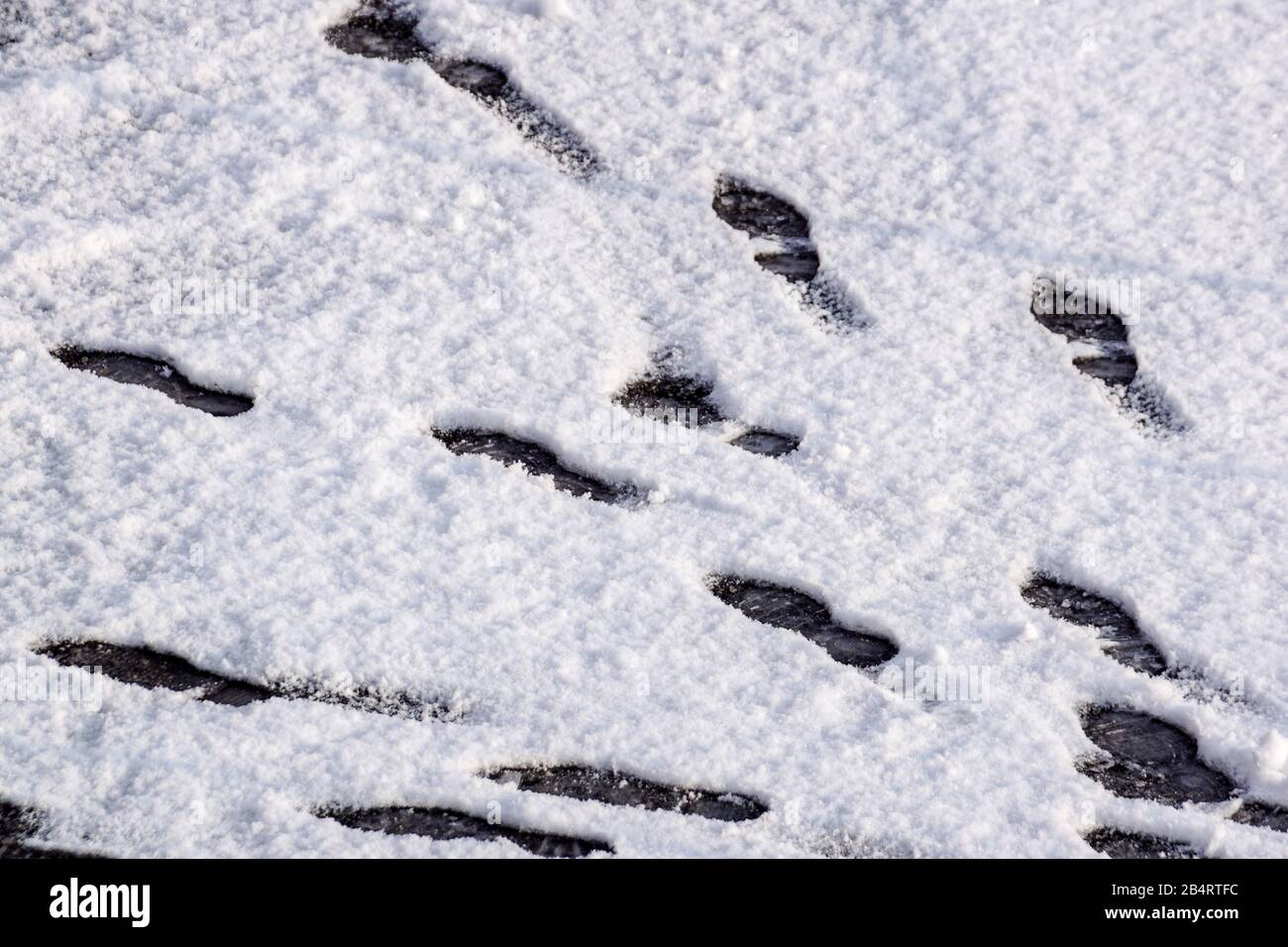 Wheel pair from a freight car on rails. Wheel system with springs Stock ...