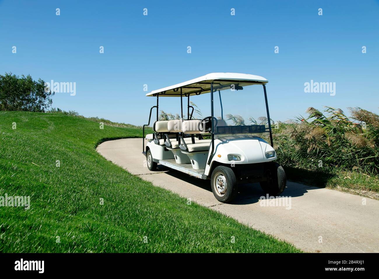 White golf carts at the green golf course Stock Photo - Alamy