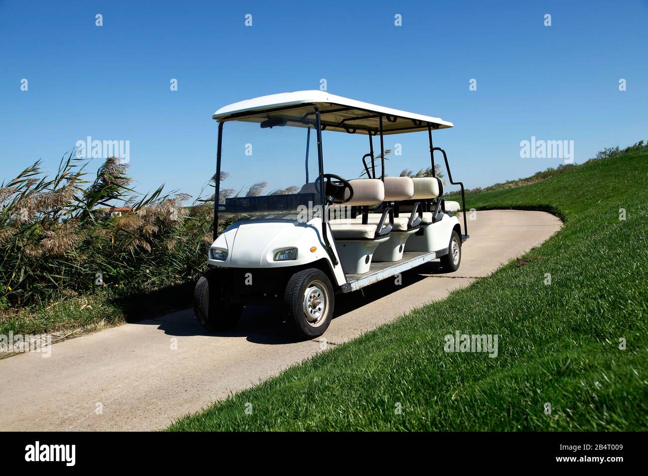 White golf carts at the green golf course Stock Photo - Alamy