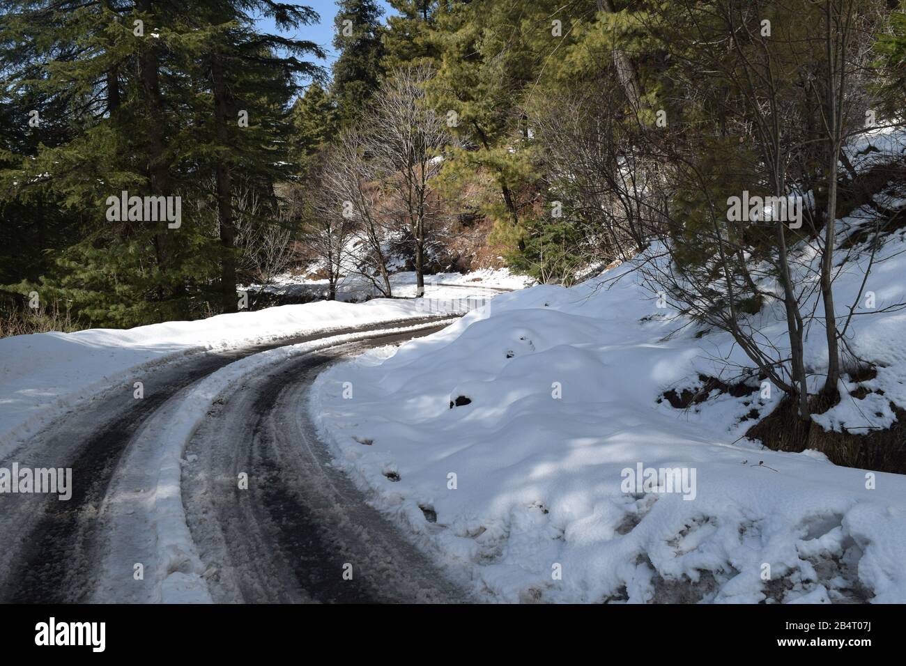 Tier detail hi-res stock photography and images - Alamy